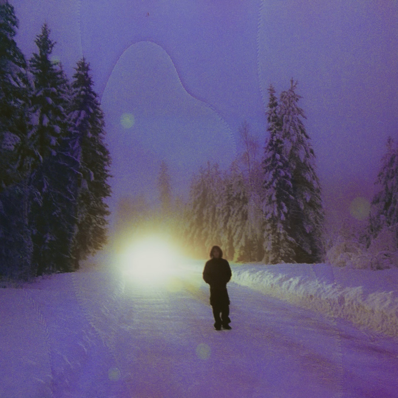 Mariposa Vinyl | Felly | Felly